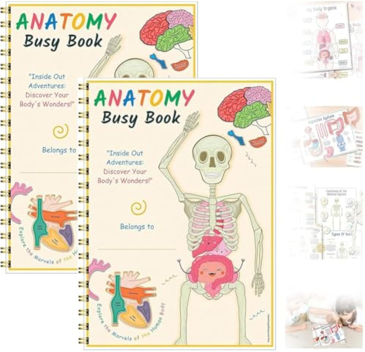 Smilesandsteps Human Anatomy Busy Book, for Kids Model Preschool ...