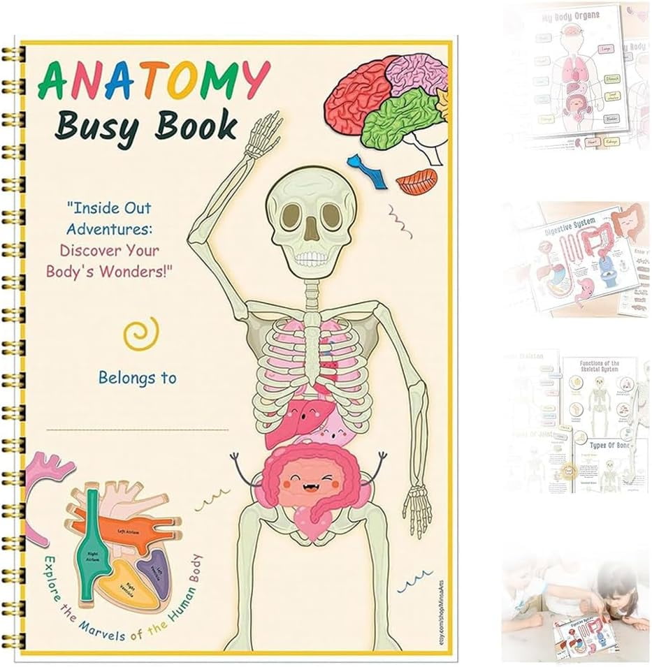 Smilesandsteps Human Anatomy Busy Book, for Kids Model Preschool ...