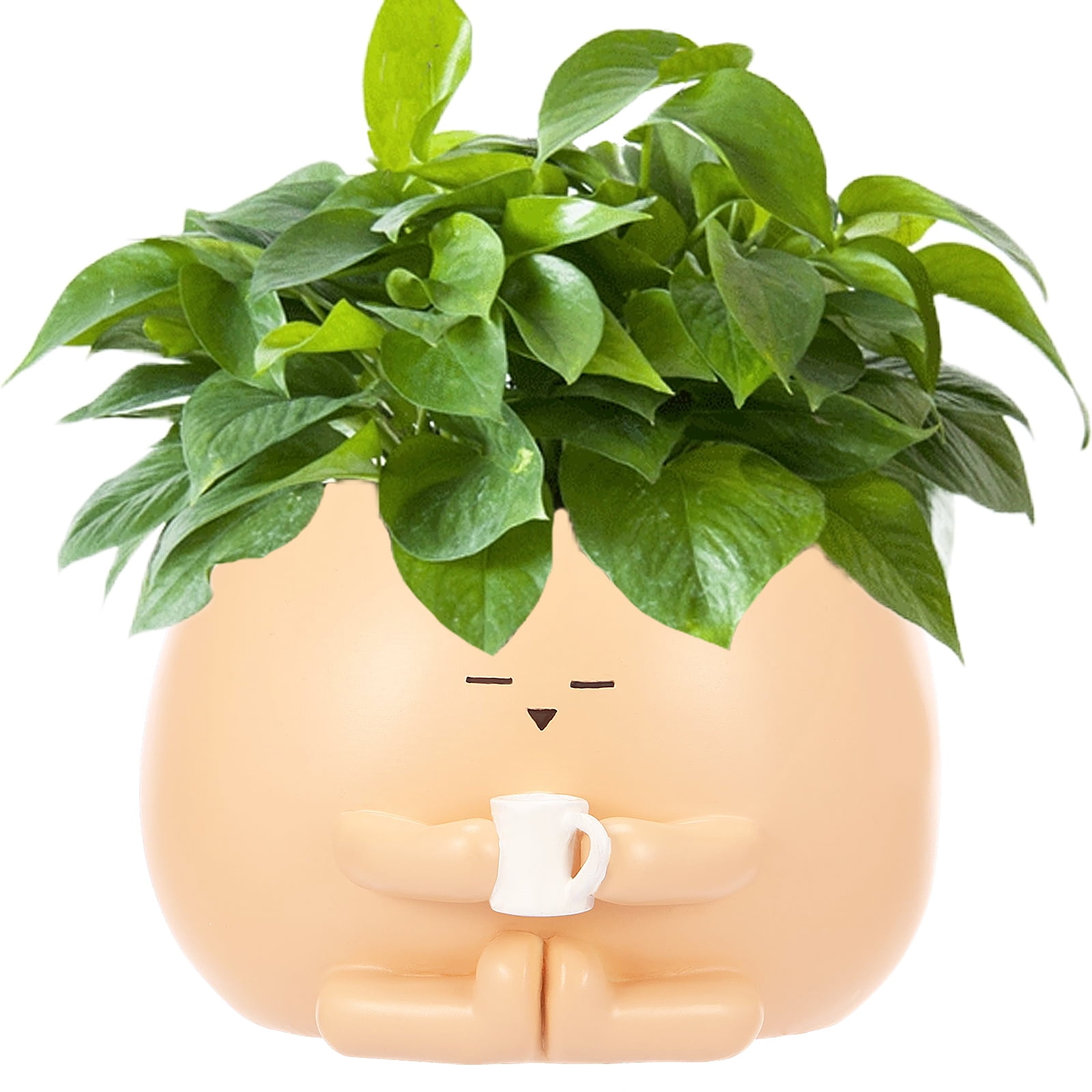 Smiling Face Planter Pot Resin Succulent Plant Pot Decorative Versatile ...