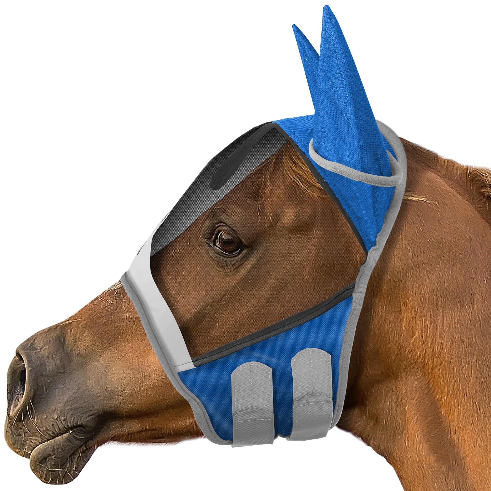 SmithBuilt Horse Equine Fly Mask (Blue, Cob) with Ear Protection, Fine ...