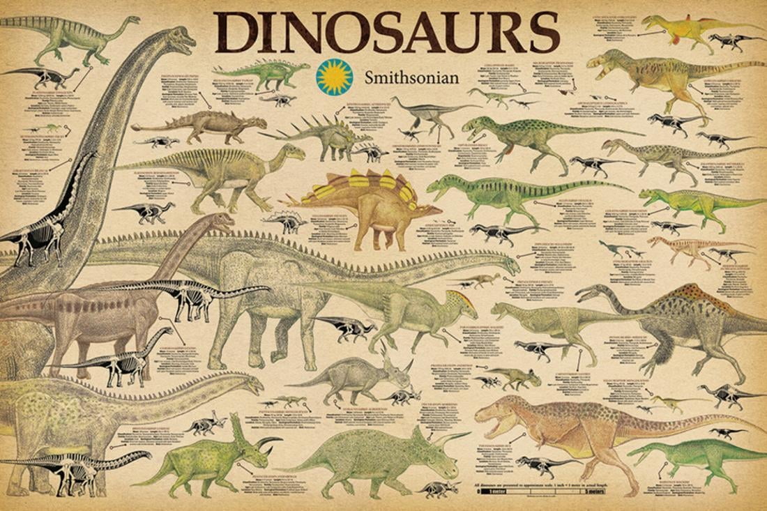 Art.Com Smithsonian Dinosaurs Chart Poster, Hand-finished in the USA ...