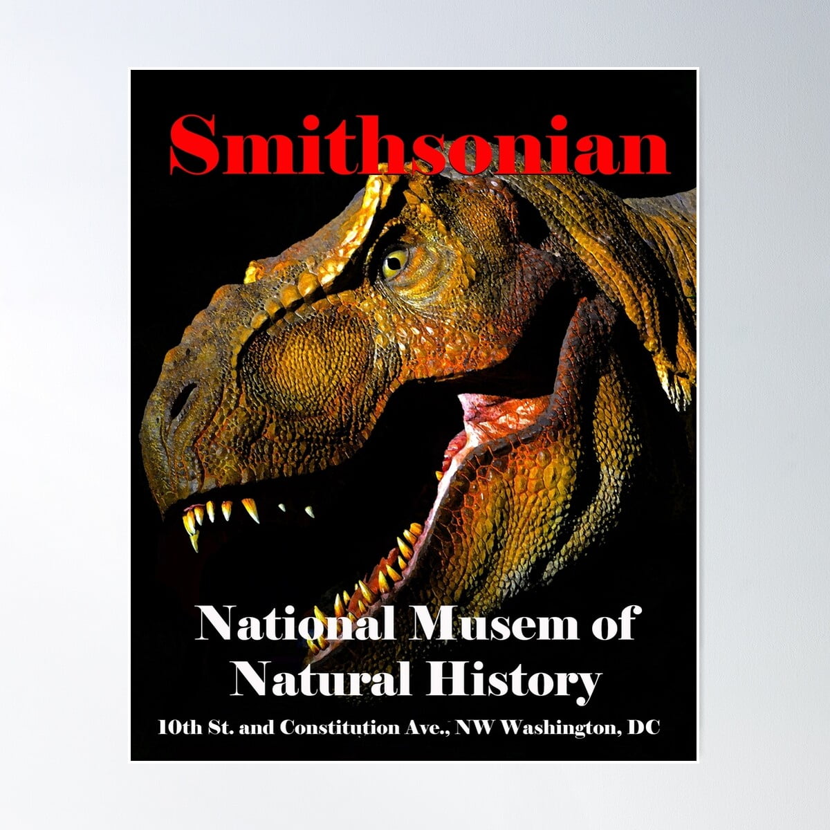 Smithsonian T Rex Natural History Museum Poster Wall Art, Modern Wall ...