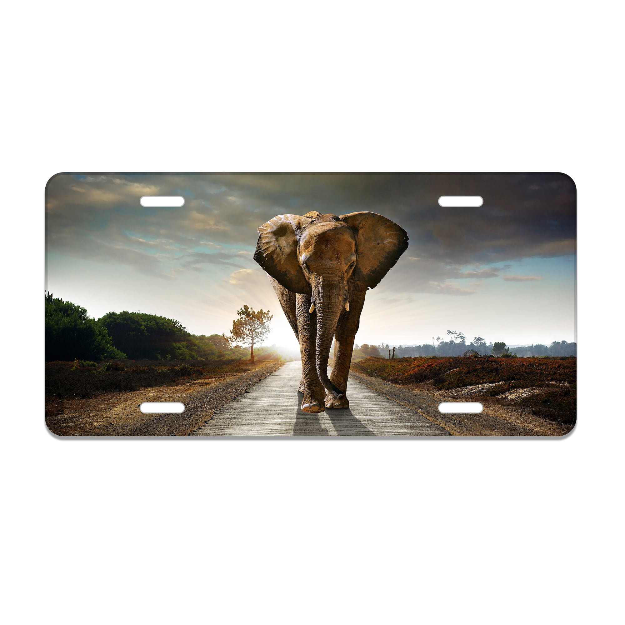 Smoaffly Black Cat Funny Cat License Plate Decorative Car Front License ...