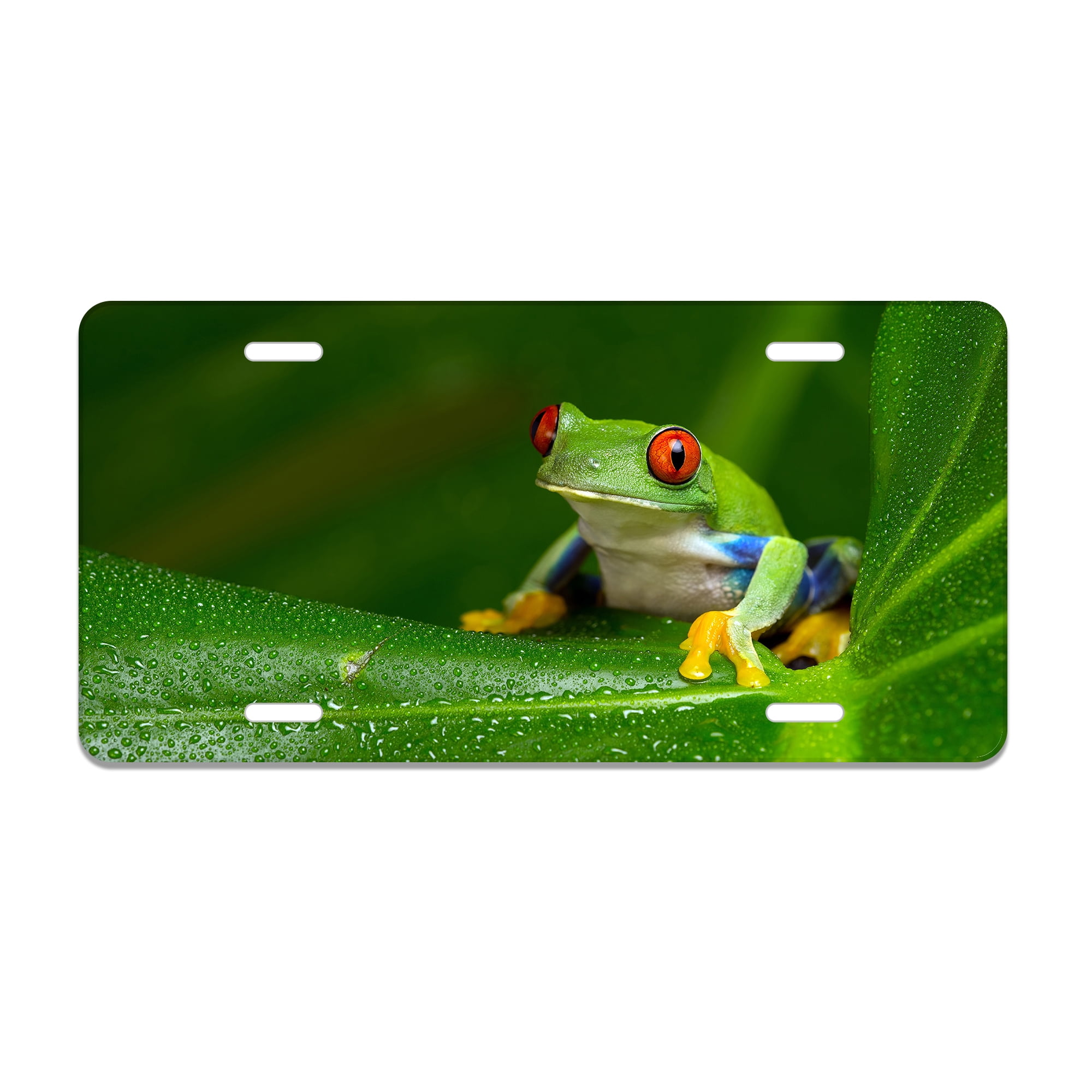 Smoaffly Spring Flowers Blue License Plate, Decorative Car Front ...