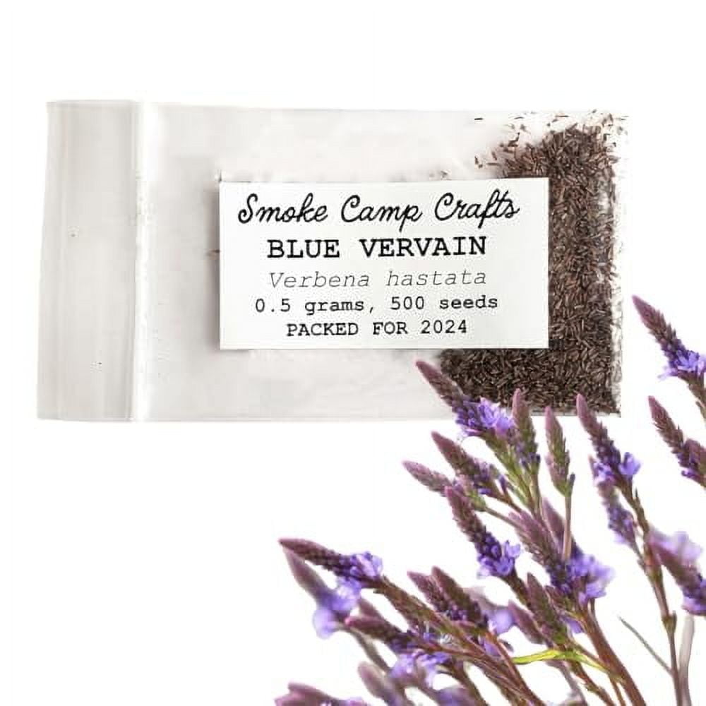 Smoke Camp Crafts | Blue Vervain Seeds (Verbena hastata) 500 Seeds (0.5 ...