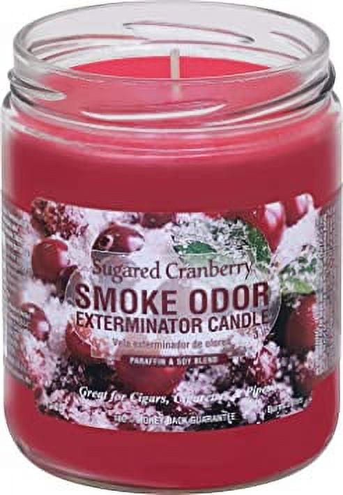 Smoke Odor Exterminator 13oz jar candle, Limited Edition Sugared ...