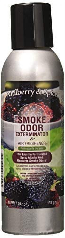 Smoke Odor, Aerosol, 7 oz, Smoke Odor Exterminator Mulberry & Spice ...