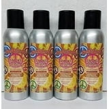 Smoke Odor Exterminator Sandalwood 7 oz Large Spray Set of Four Cans ...