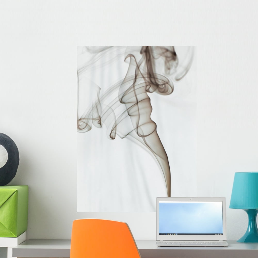 Smoke Trail Wall Mural by Wallmonkeys Peel and Stick Graphic (24 in H x ...