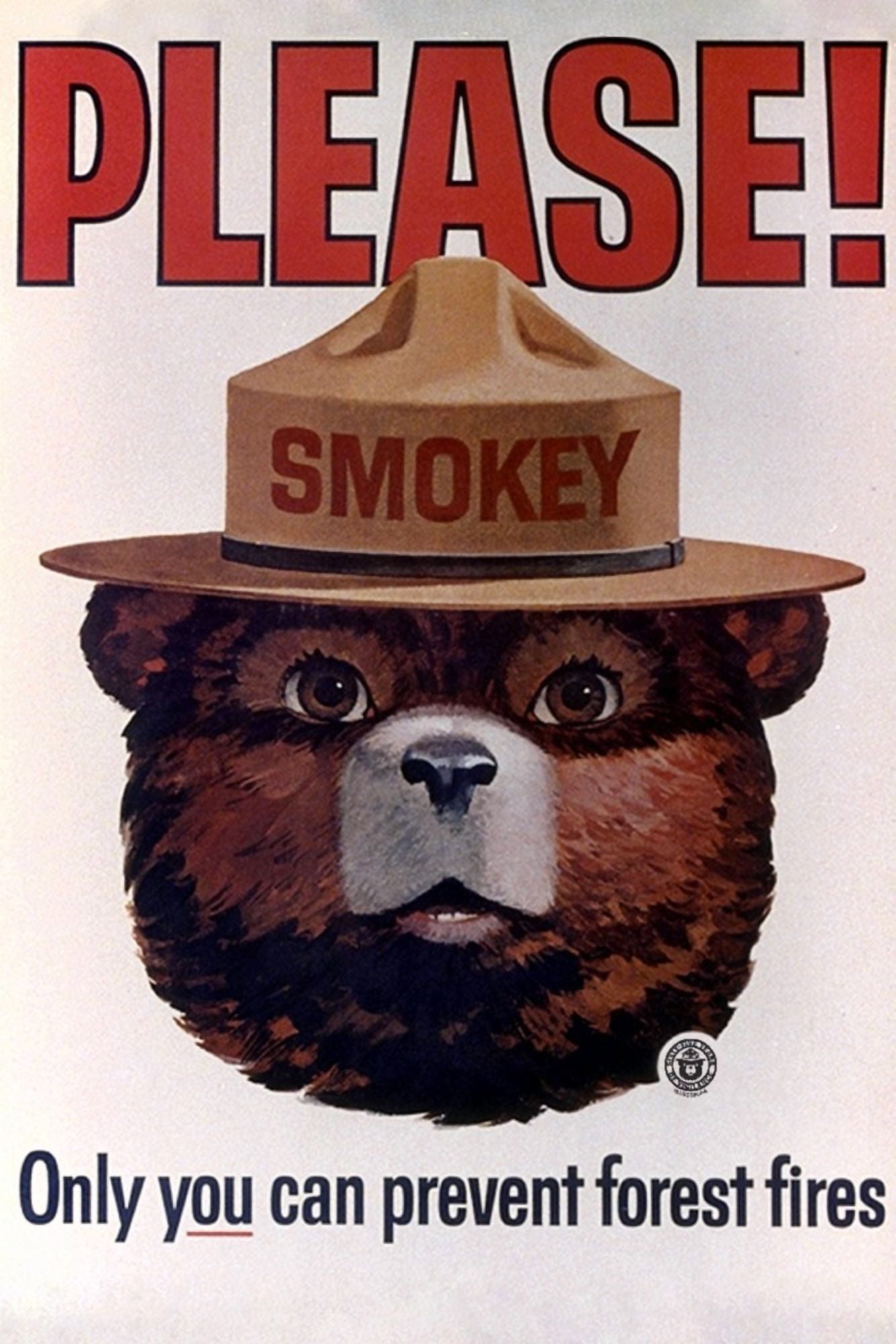 Smokey Bear, Please, Only You Can Help, Smokey Head, Vintage Poster ...