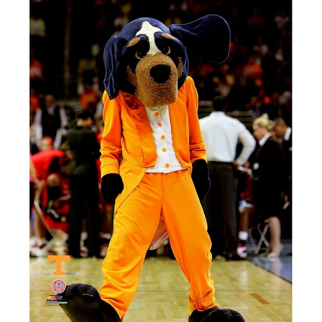 Smokey, University of Tennessee Volunteers Mascot 2007 16"x20" Print ...
