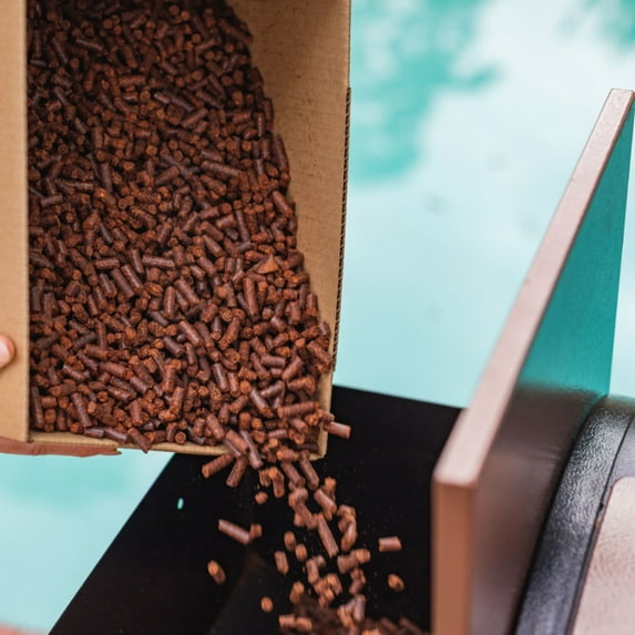 Pecan Shell Pellets, 20 lb Box, All-Natural Eco-Friendly Pellet ...