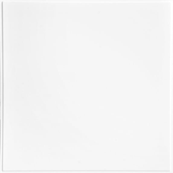 Smooth Economy Revealed Edge Lay-in Ceiling Tile 12 in x 12 in Sample ...