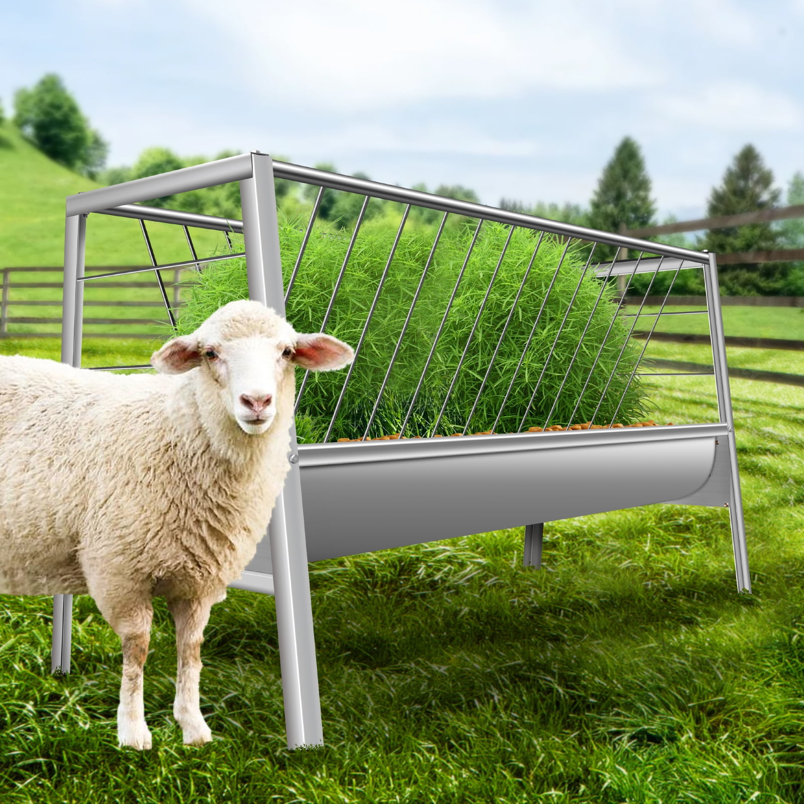 Smooth - Edged Stainless Steel Sheep Trough: Practical for Sheep, Cows ...