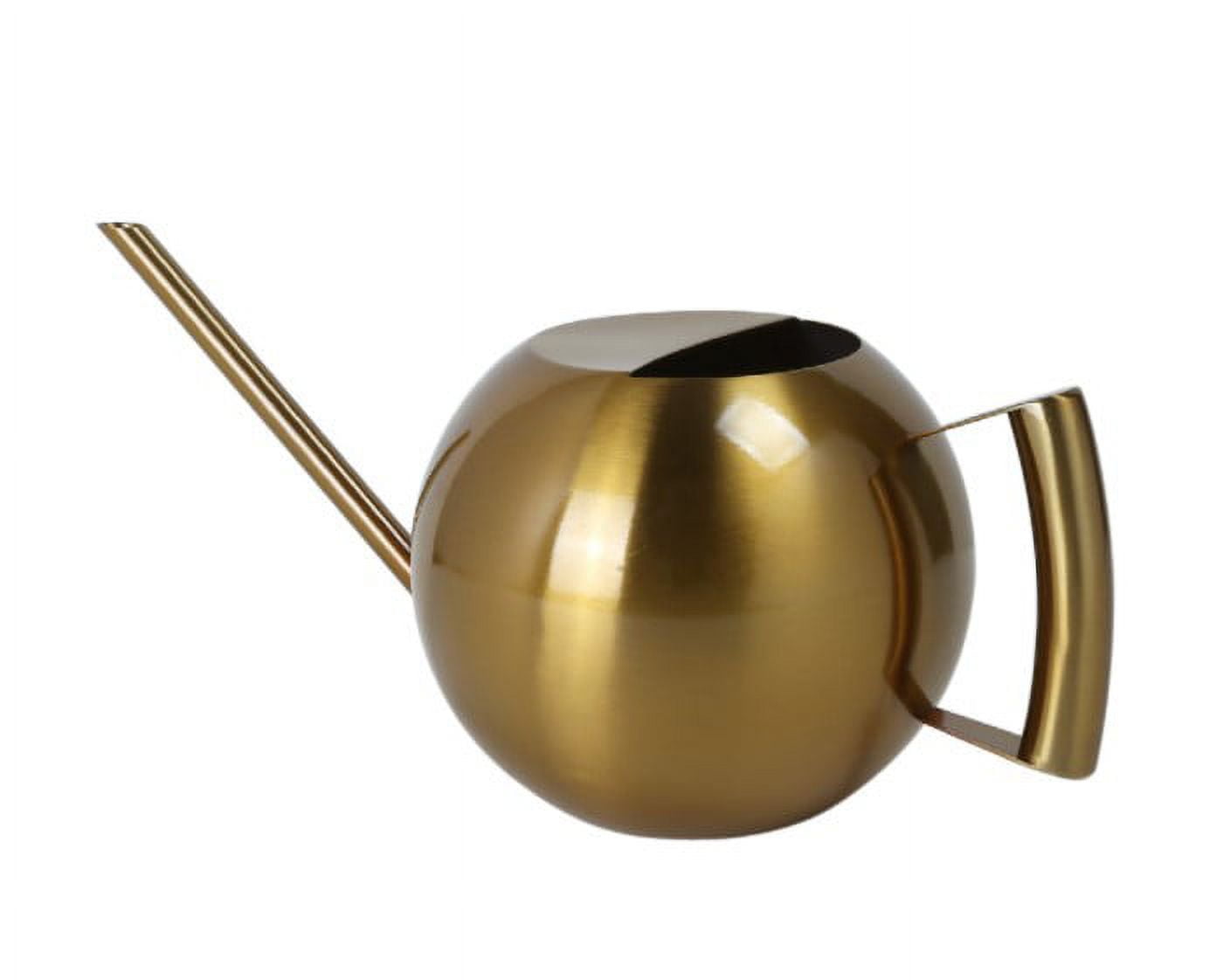 Smooth Surface Watering Pot, Golden Stainless Steel Waterer for Indoor ...