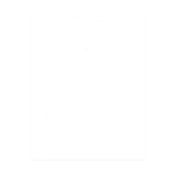 Smooth White 16x20 Backing Board - Uncut Photo Mat Board - Walmart.com