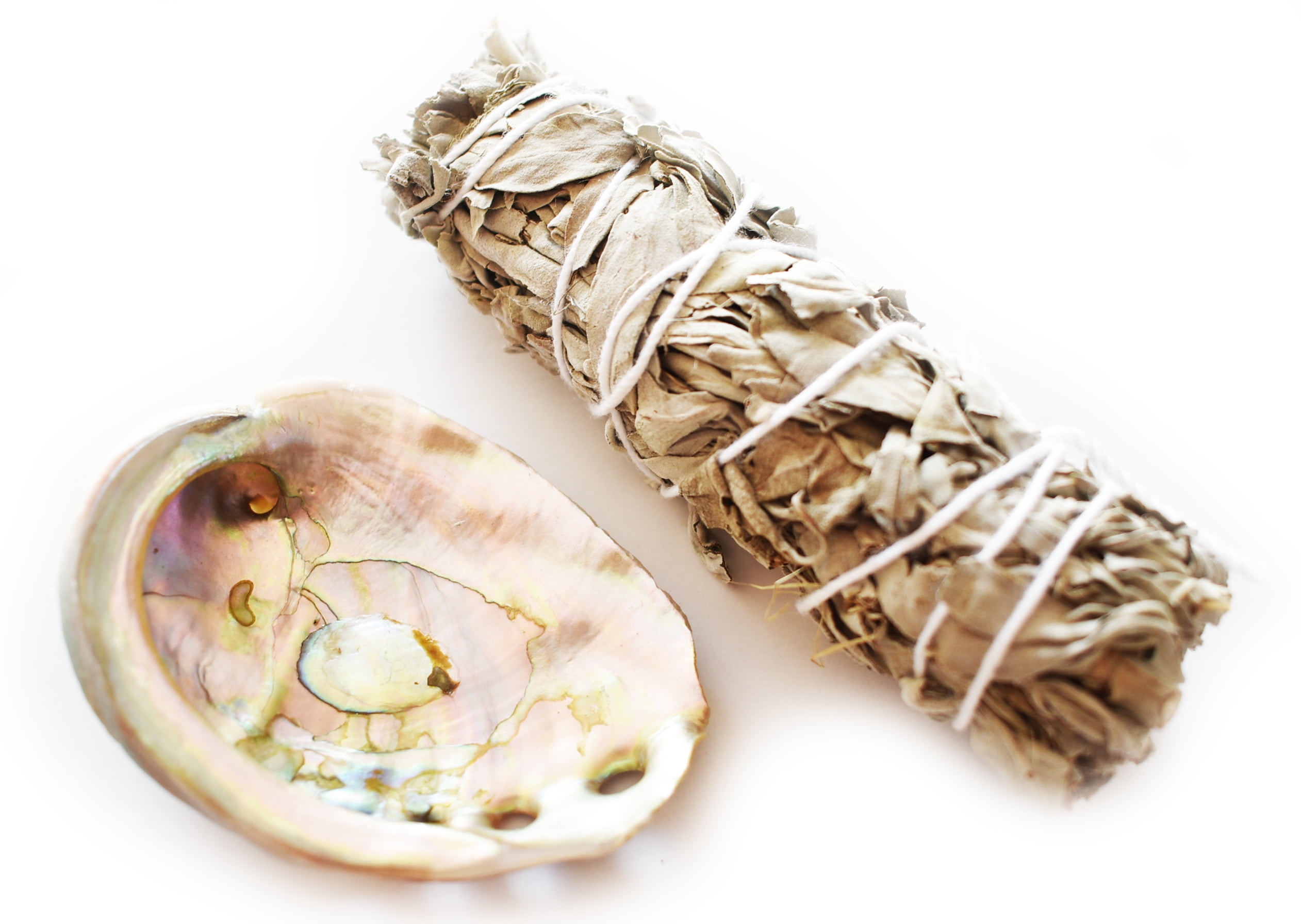 Smudge Kit: Abalone Shell (small) and 4" California White Sage Stick ...