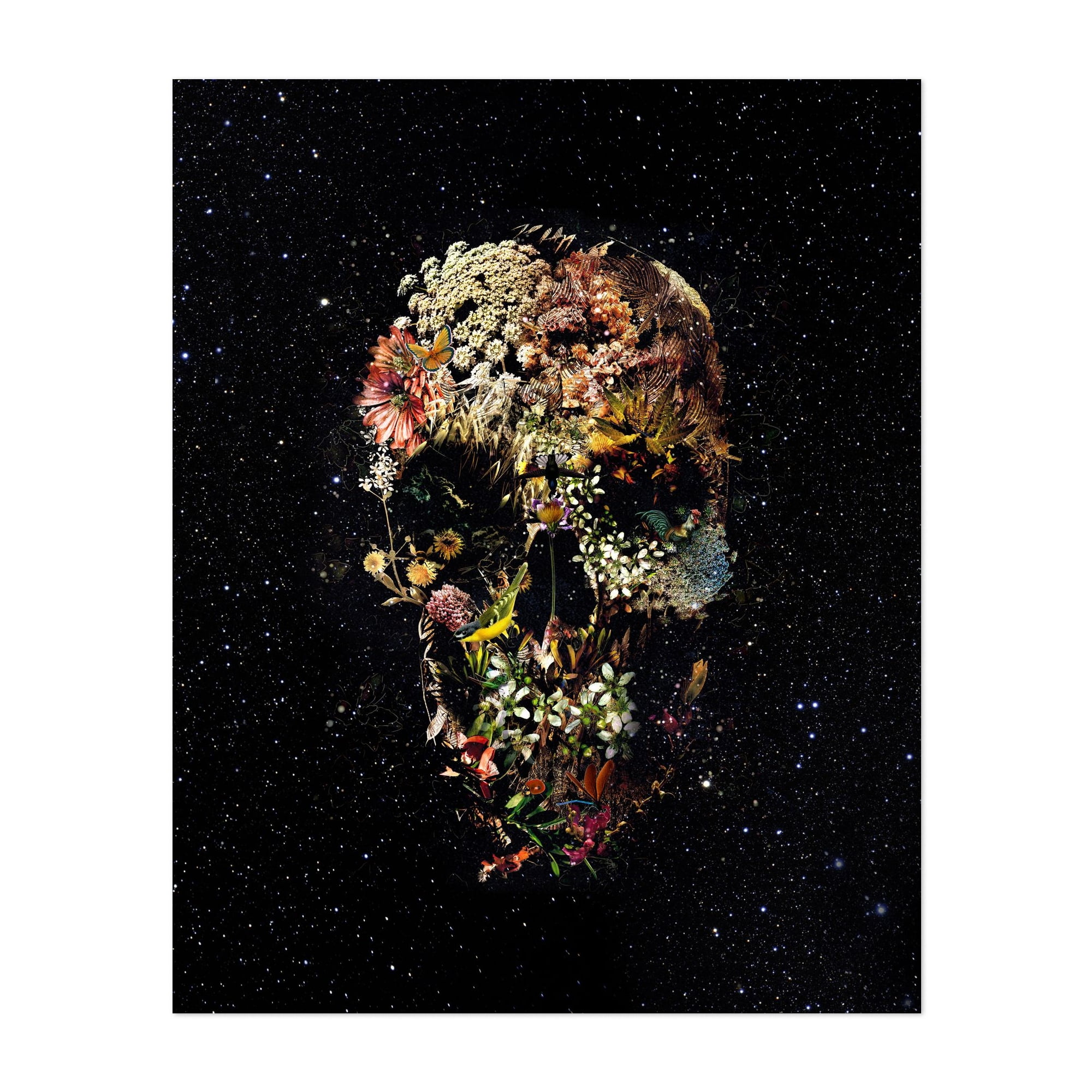 Smyrna - Collage Surrealism Floral Space Stars Night Sky Psychedelic ...
