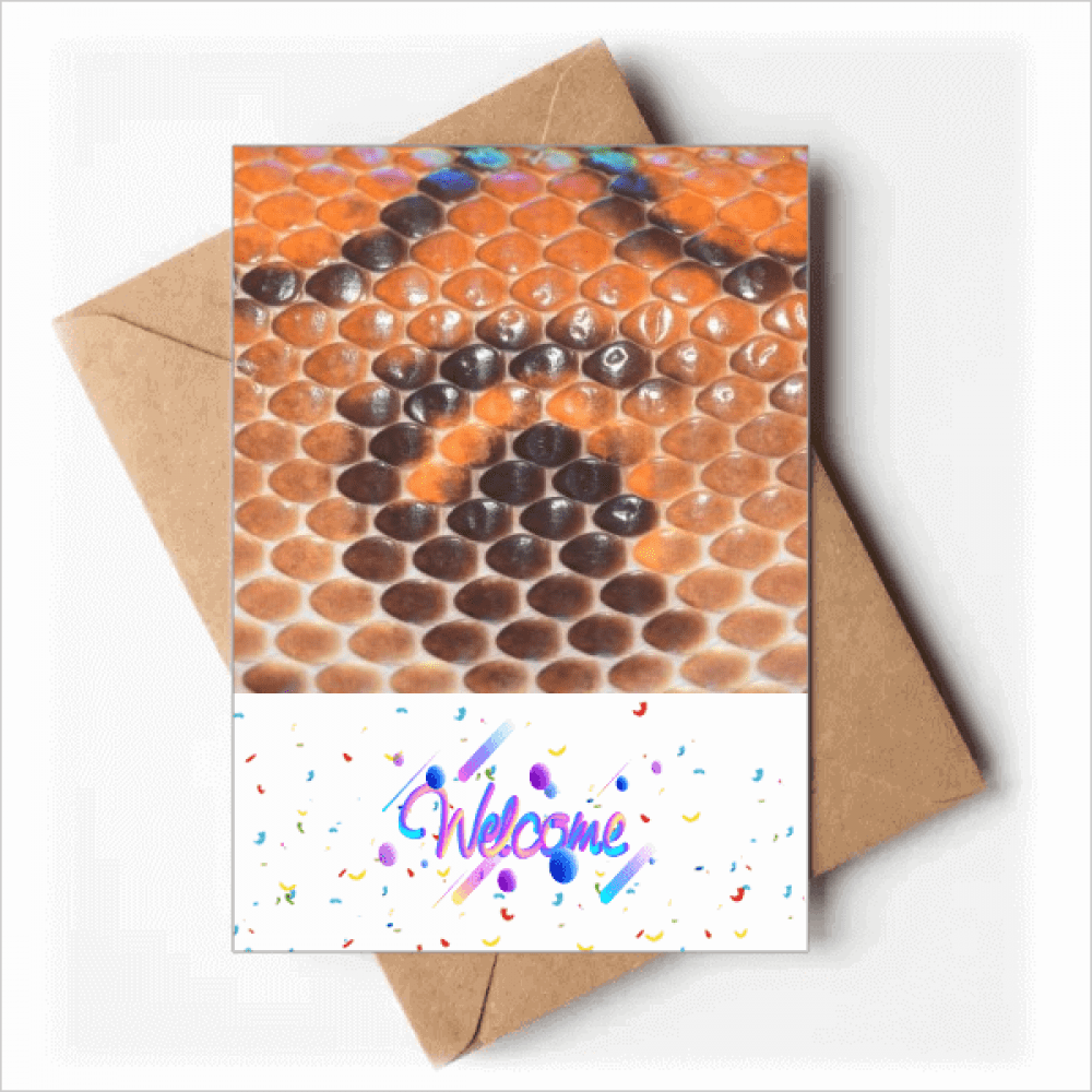 Snack Leather Design Welcome Back Greeting Cards Envelopes Blank ...