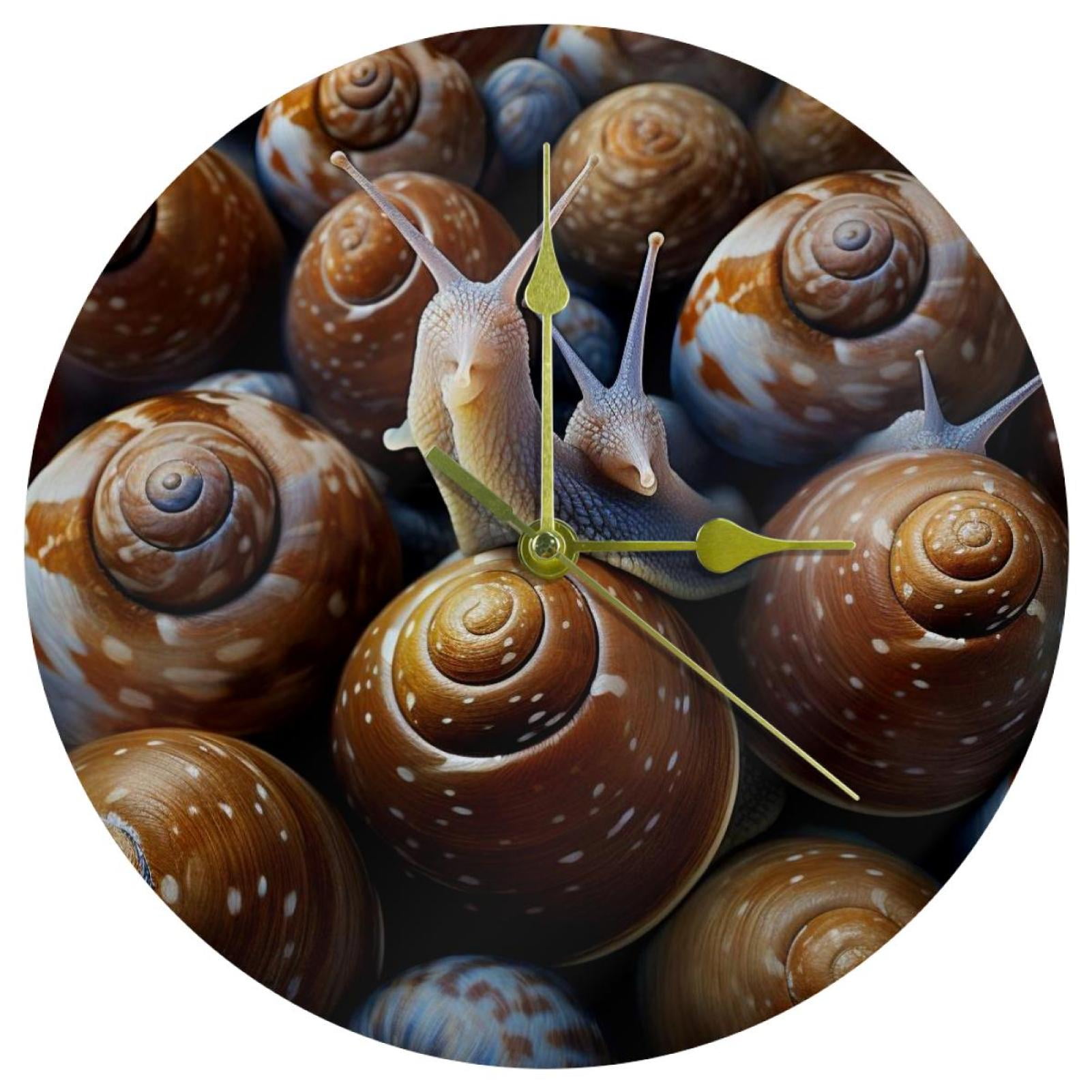 Snail 9.8 Inches Round Acrylic Wall Clock - Silent Non Ticking Battery ...