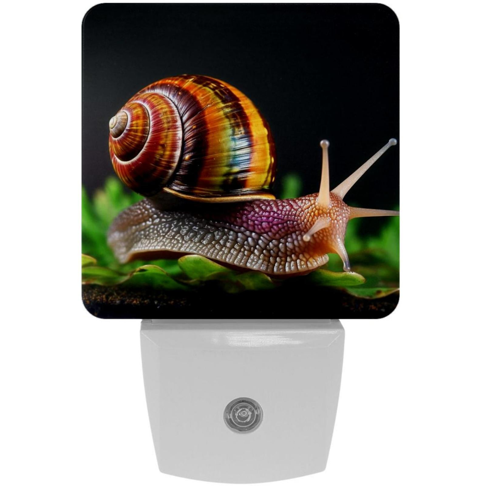 Snail Enhance Your Space with LED Square Night Lights - Versatile ...