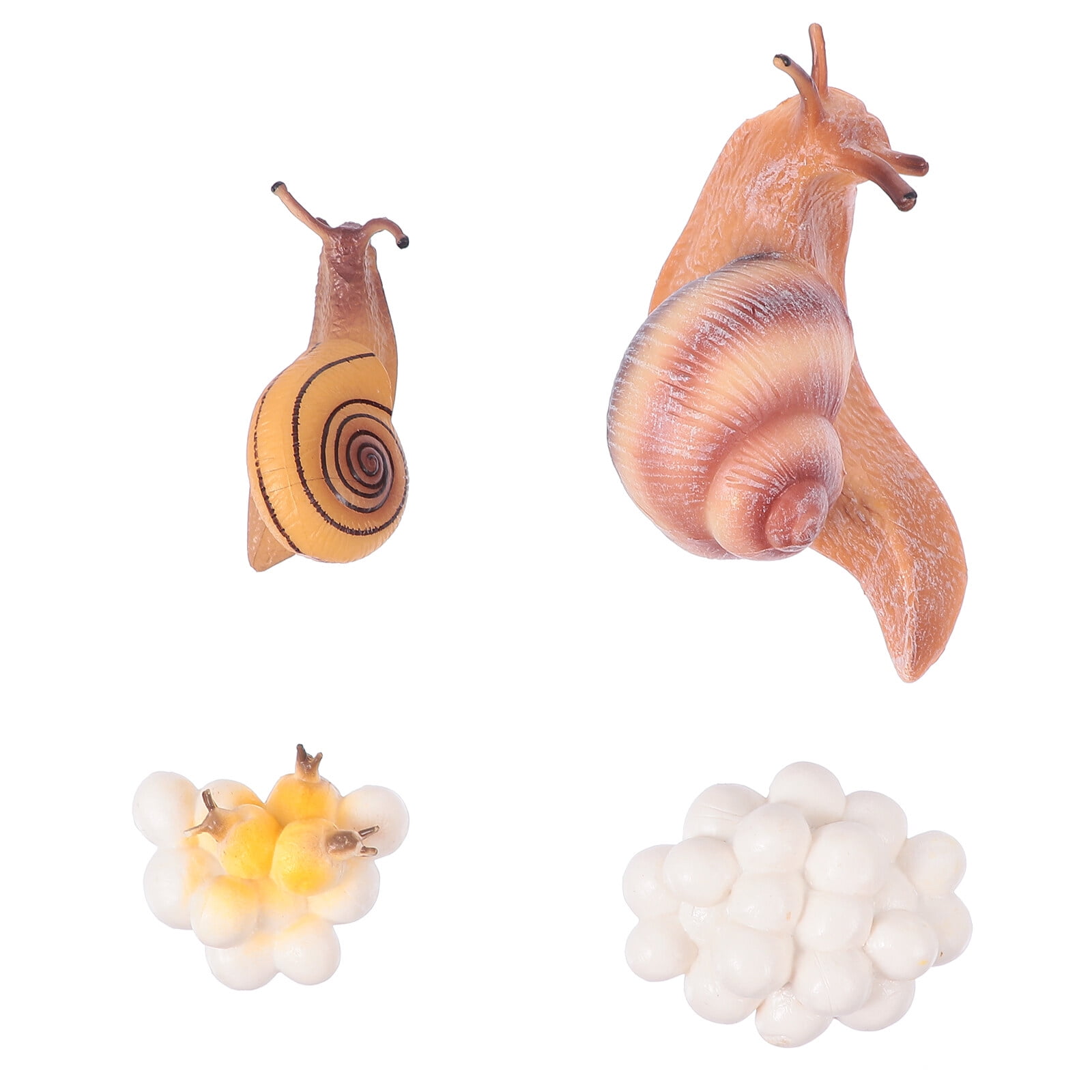 Snail Figurines Growth Model Kids Learning Toy - Walmart.com