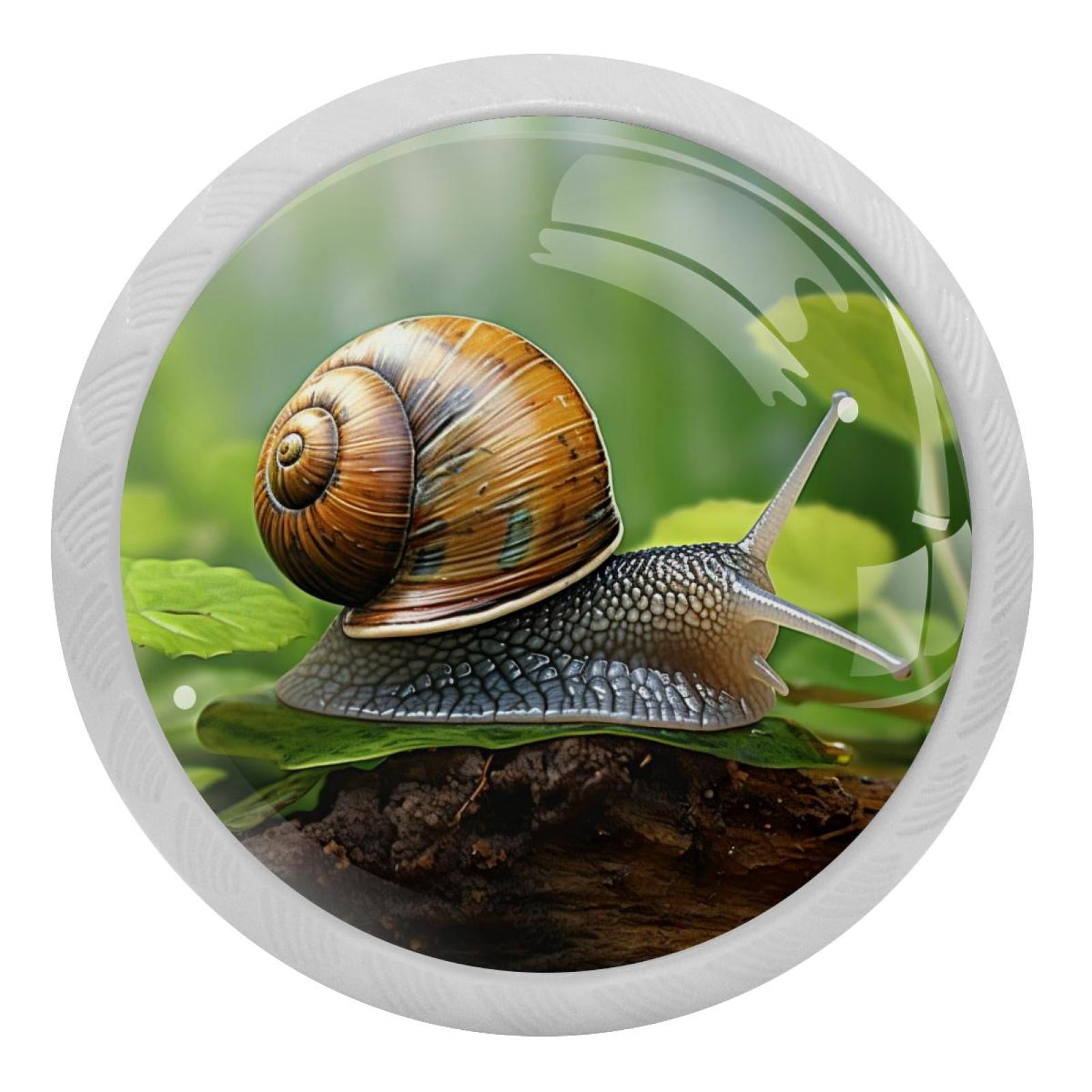 Snail Fluorescent Drawer Pulls: Round 4-Pack Glow-in-the-Dark Knobs for ...