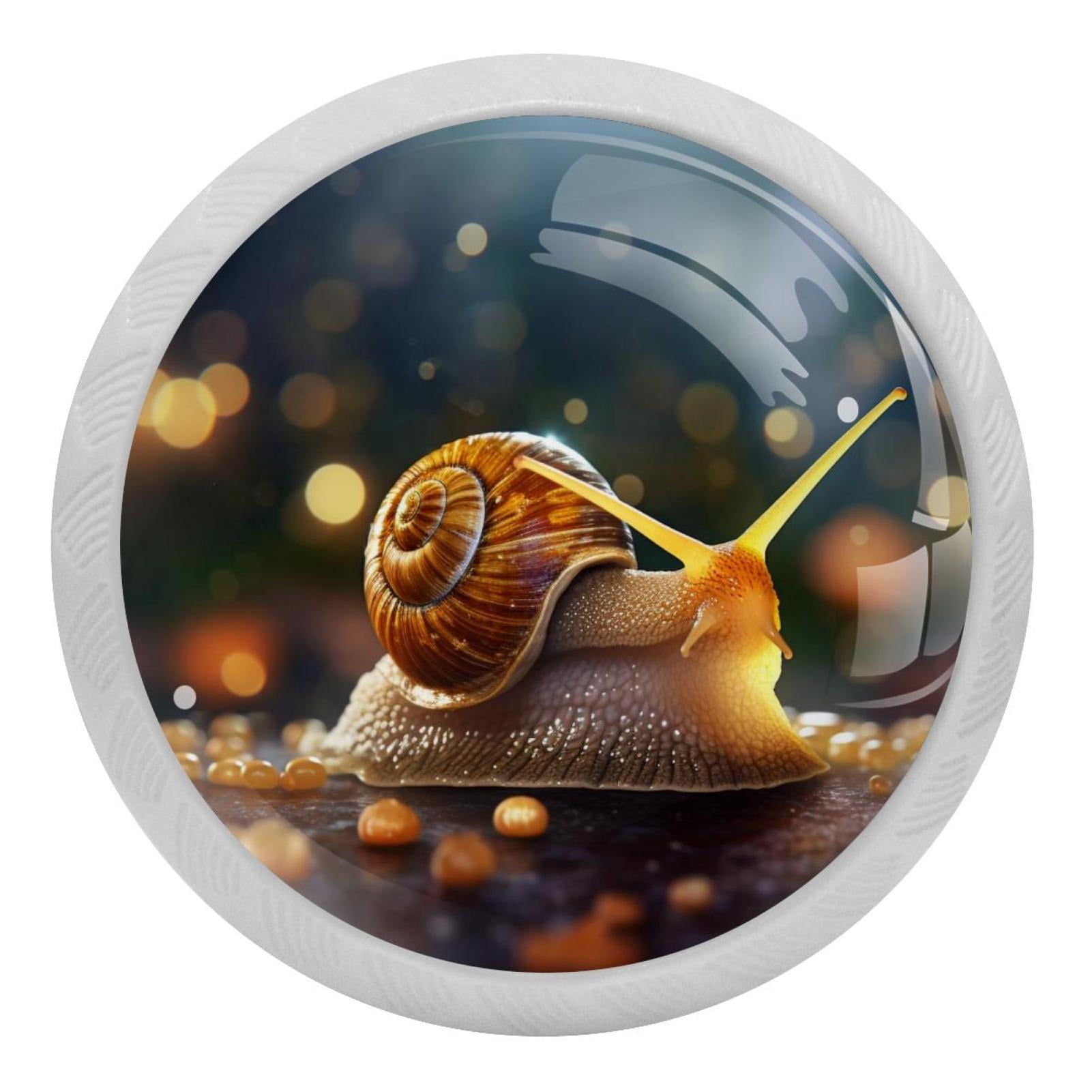 Snail Fluorescent Drawer Pulls with Screws, Round 4-Pack, Glow-in-the ...