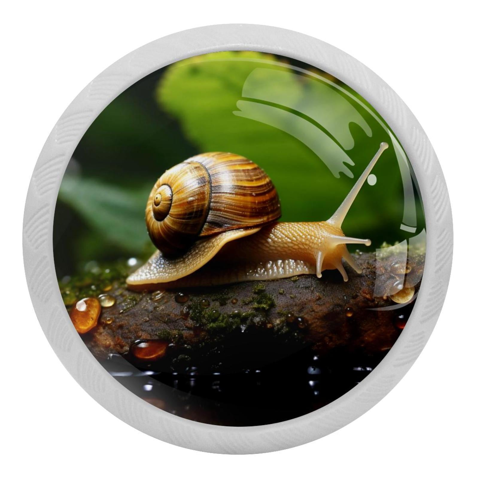 Snail Fluorescent Drawer Pulls with Screws - Round 4-Pack, Glow-in-the ...