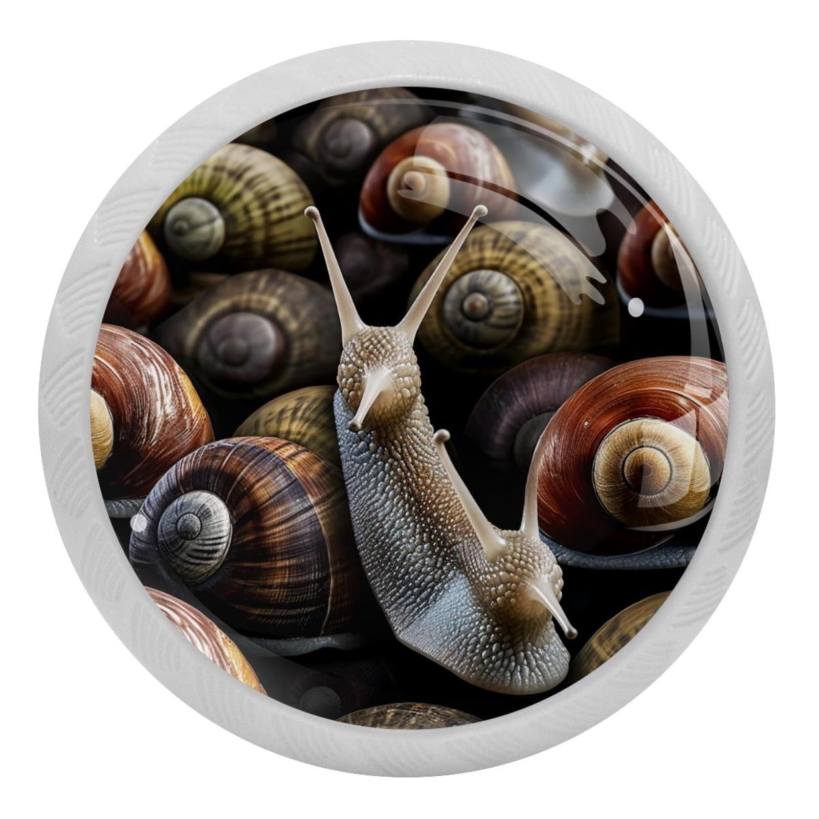 Snail Fluorescent Drawer Pulls with Screws - Round 4-Pack Glow-in-the ...