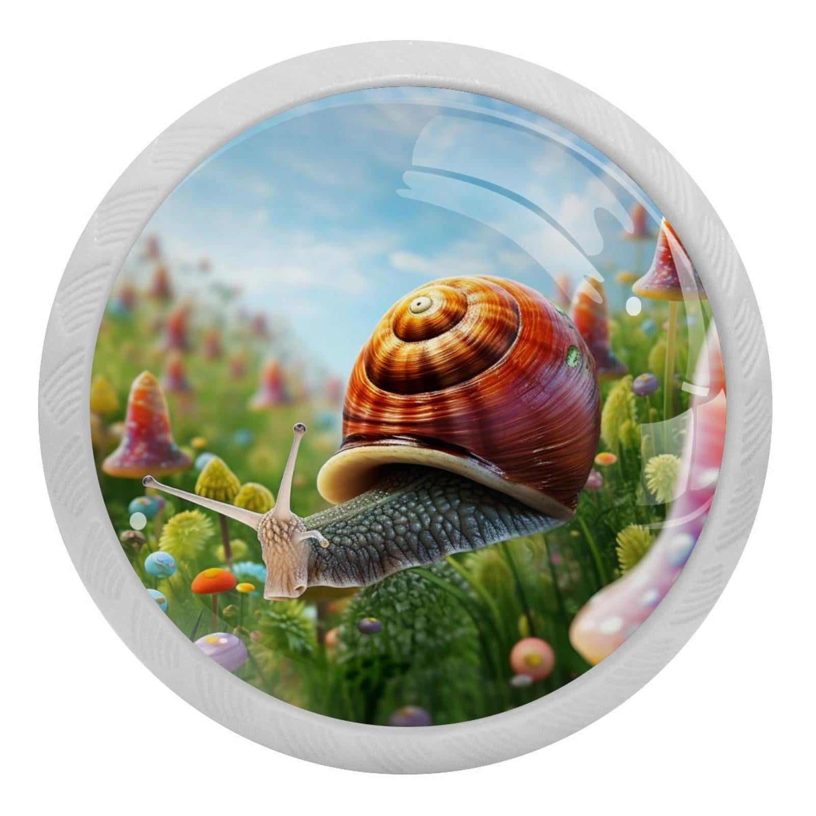 Snail Fluorescent Drawer Pulls with Screws: Round 4-Pack, Glow-in-the ...