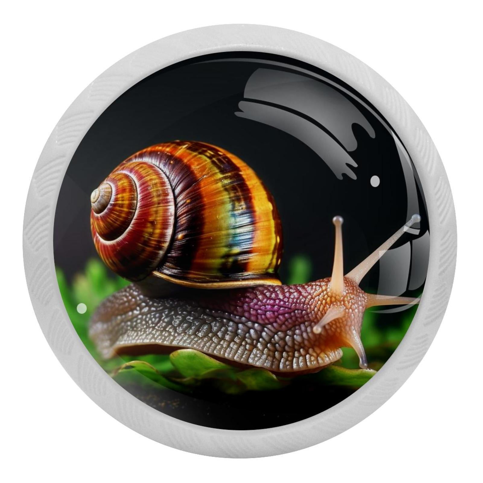 Snail Fluorescent Drawer Pulls with Screws: Round 4-Pack, Glow-in-the ...