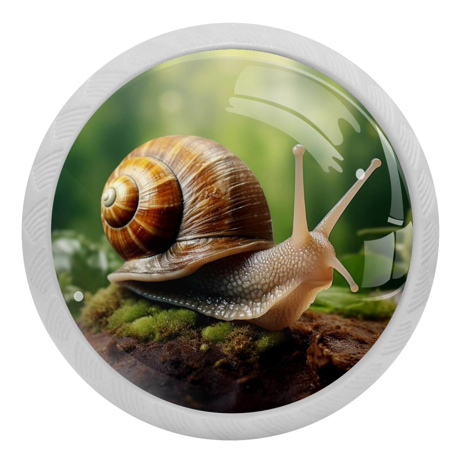 Snail Fluorescent Drawer Pulls with Screws: Round 4-Pack Glow-in-the ...