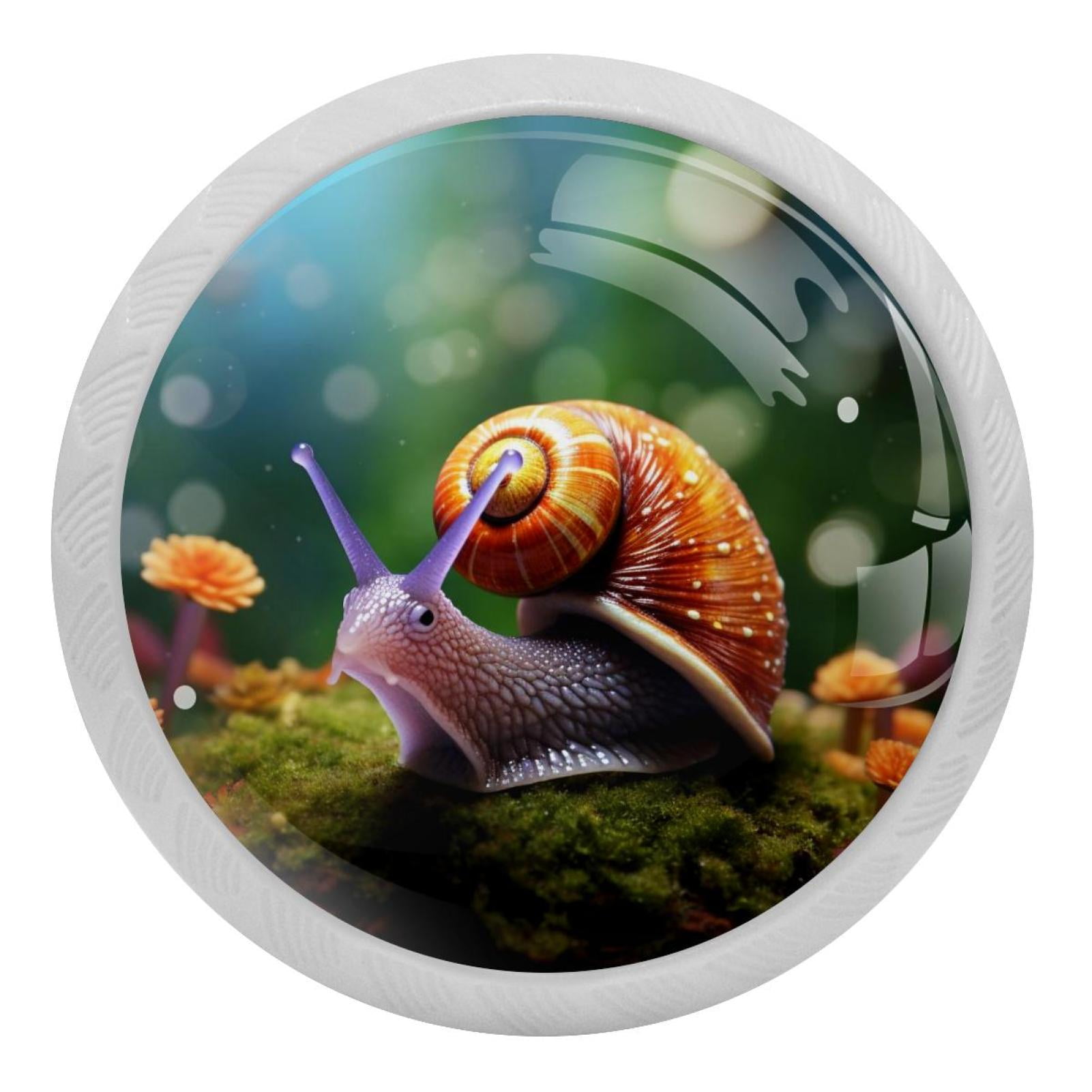 Snail Fluorescent Drawer Pulls with Screws: Round Knobs, 4-Pack, Glow ...