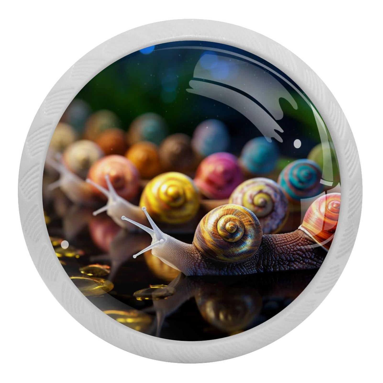 Snail Glow-in-the-Dark Fluorescent Drawer Pulls with Screws - 4-Pack ...