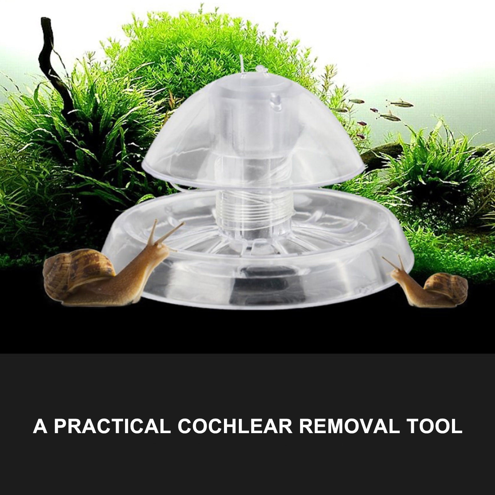 Snail Home With A Diameter Of 8CM. Snail's Home Fish Tank Snail Removal ...