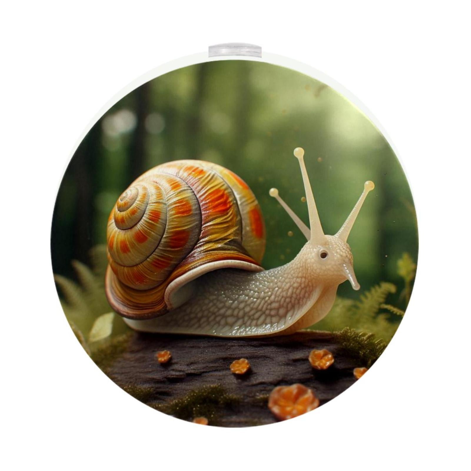 Snail LED Round Night Light - 2 Pack, Plug-in Motion Sensor Wall Lamp ...