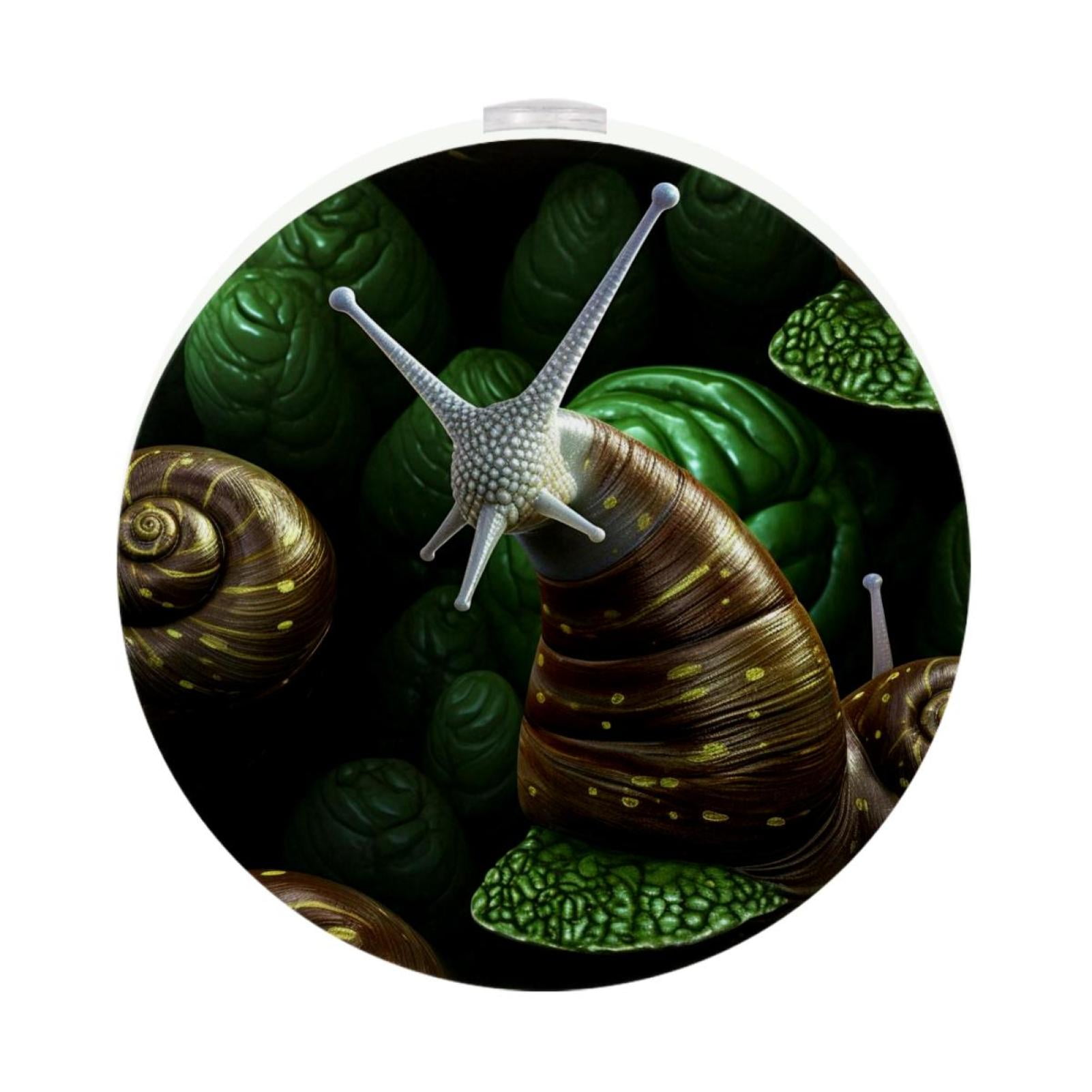 Snail LED Round Night Light-2PCS, Energy-Efficient Plug-in Ambient Lamp ...