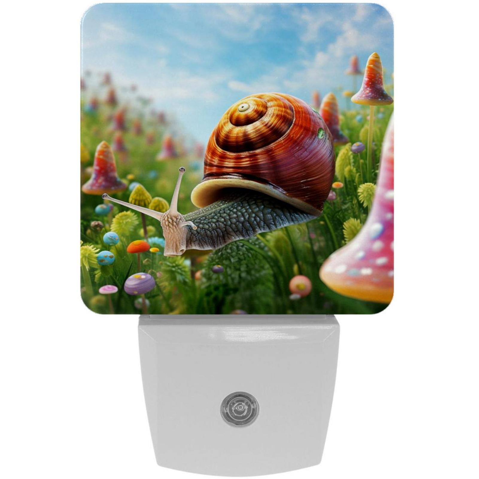 Snail LED Square Night Lights - Bright and Compact Bedroom or Bathroom ...