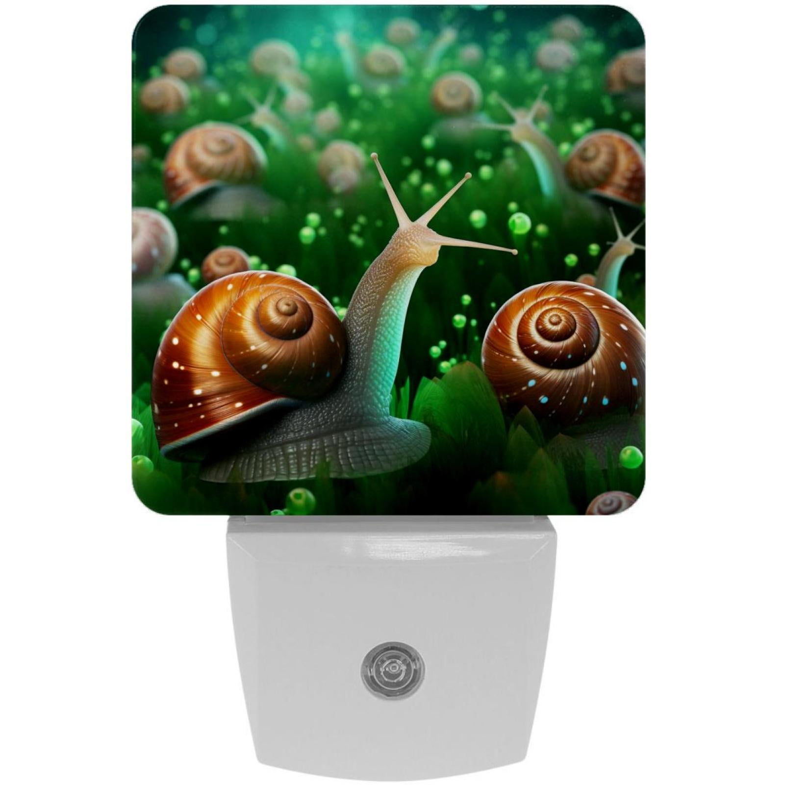 Snail LED Square Night Lights: Compact and Energy-Efficient ...