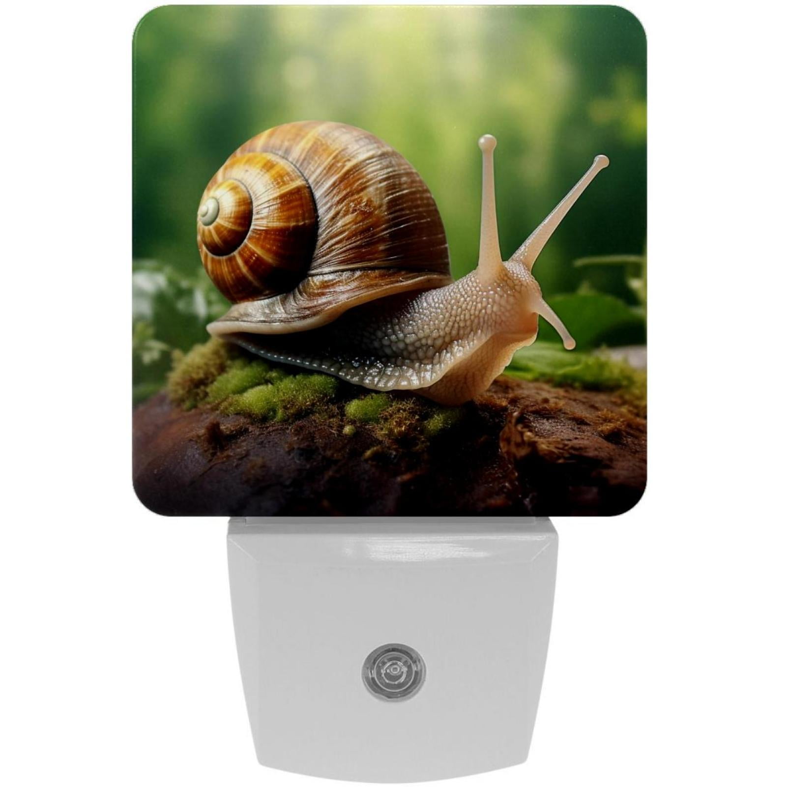 Snail LED Square Night Lights - Compact and Multifunctional ...