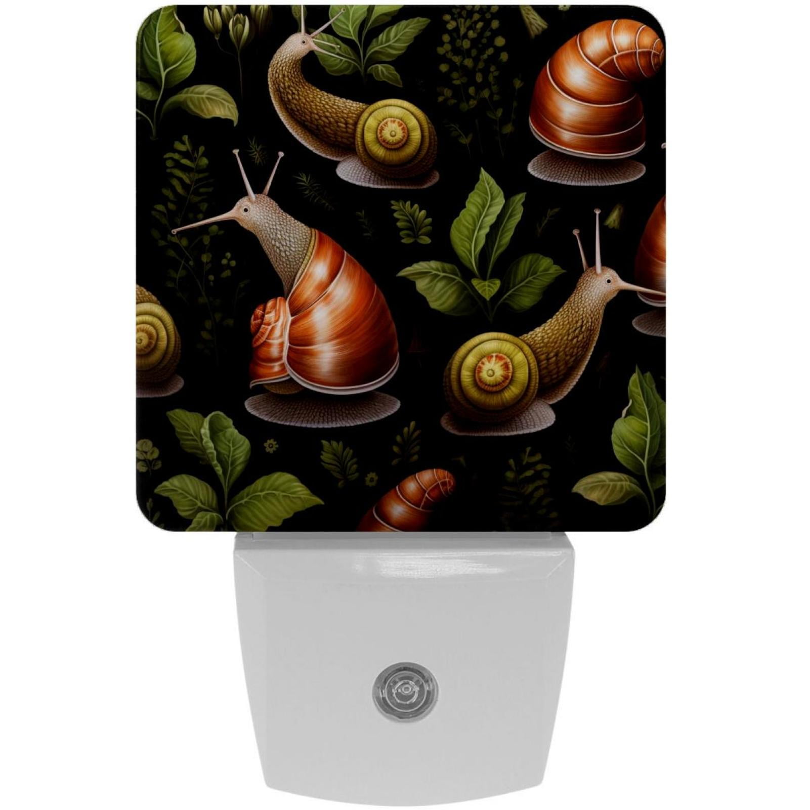 Snail LED Square Night Lights - Elegant and Energy Efficient Lighting ...