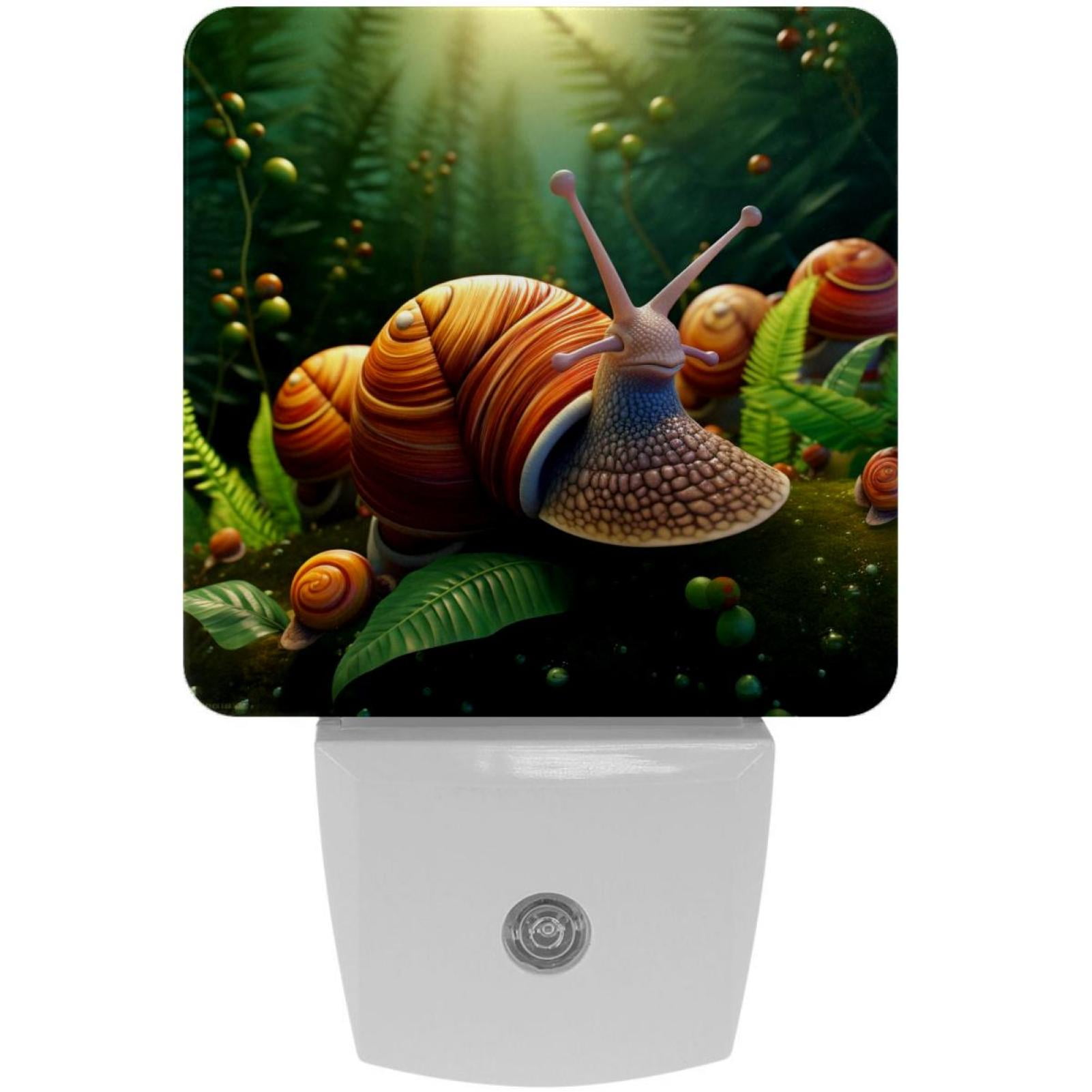 Snail LED Square Night Lights - Elegant and Energy Efficient Lighting ...