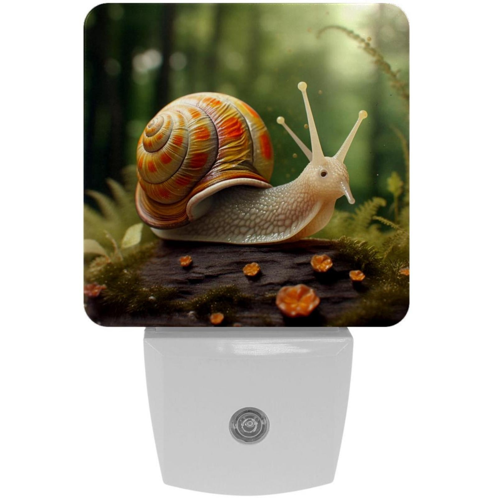 Snail LED Square Night Lights - Energy Efficient Bedside Lamp with Soft ...