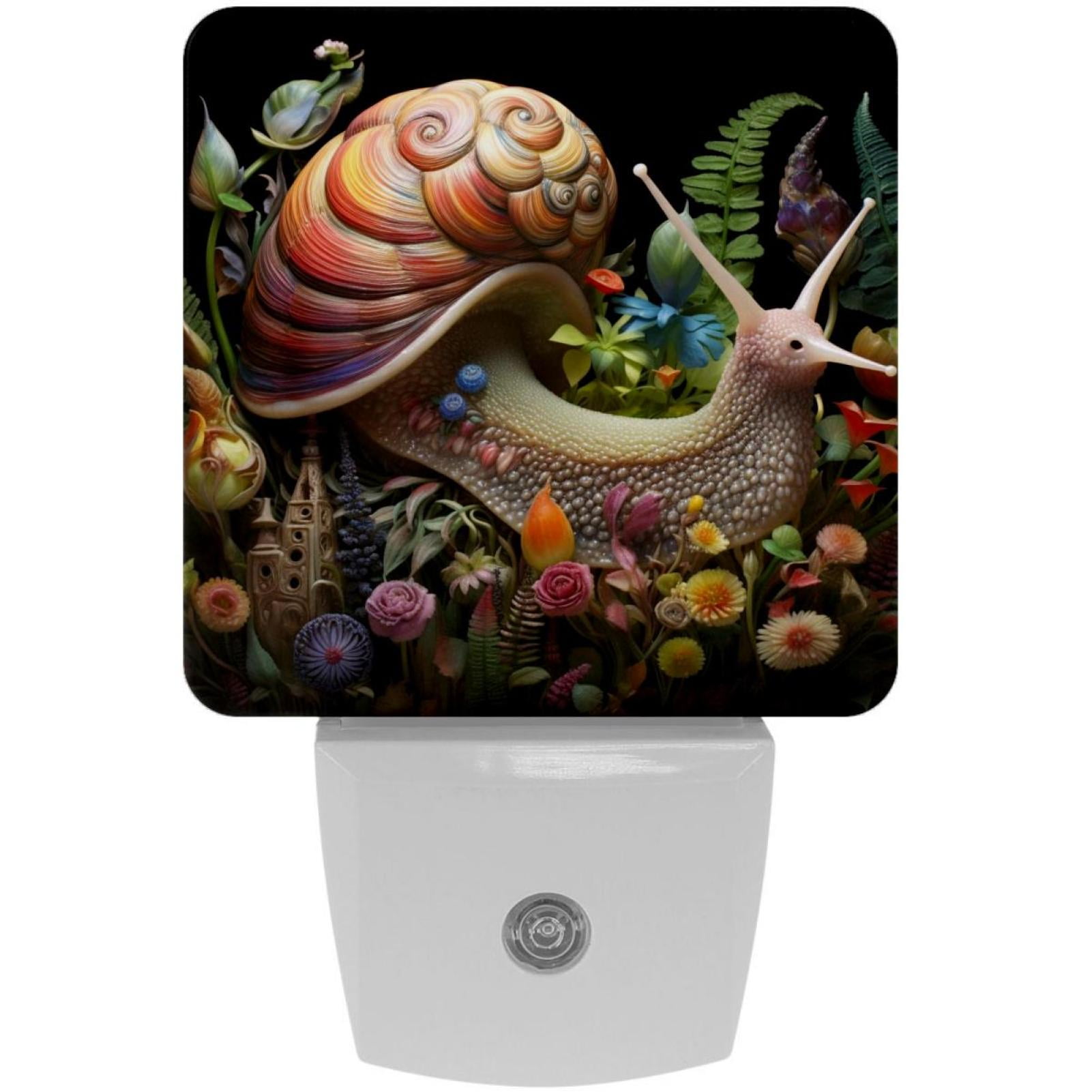 Snail LED Square Night Lights - Energy Efficient & Elegant Decorative ...