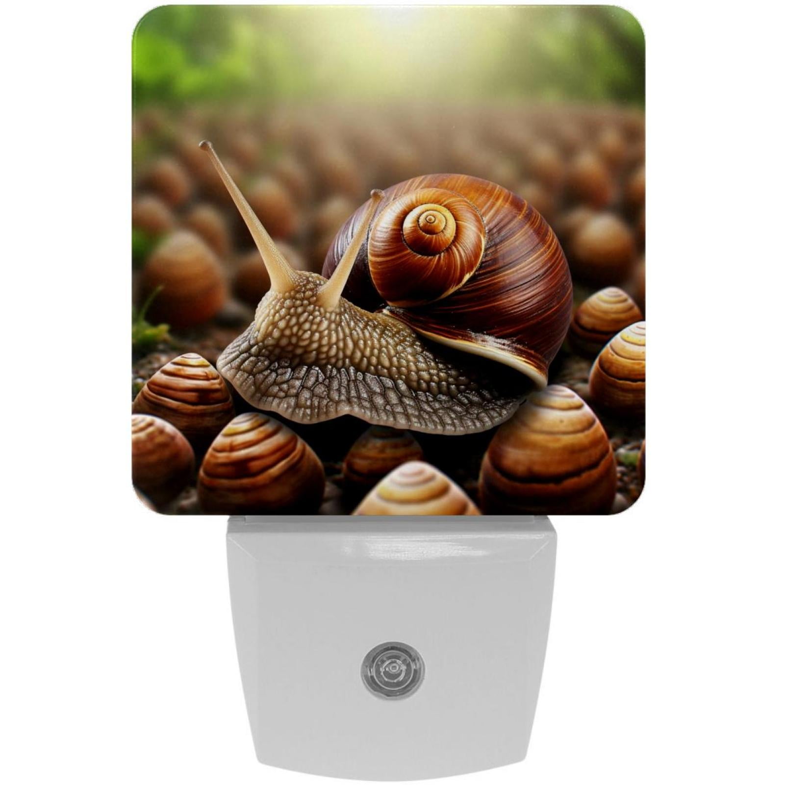 Snail LED Square Night Lights - Energy Efficient and Stylish Bedroom Lighting Solution - Walmart.com