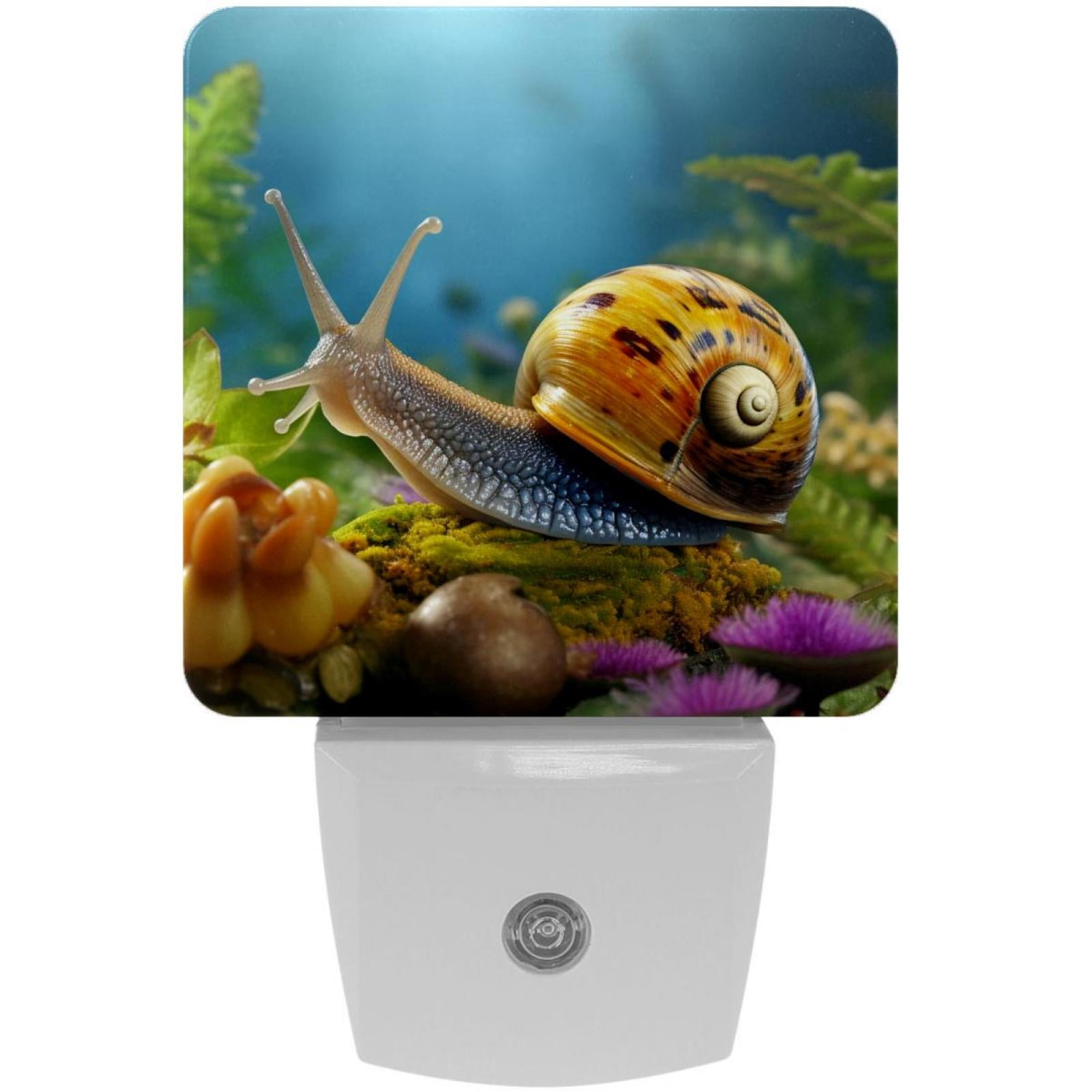 Snail LED Square Night Lights- Energy Efficient and Stylish ...