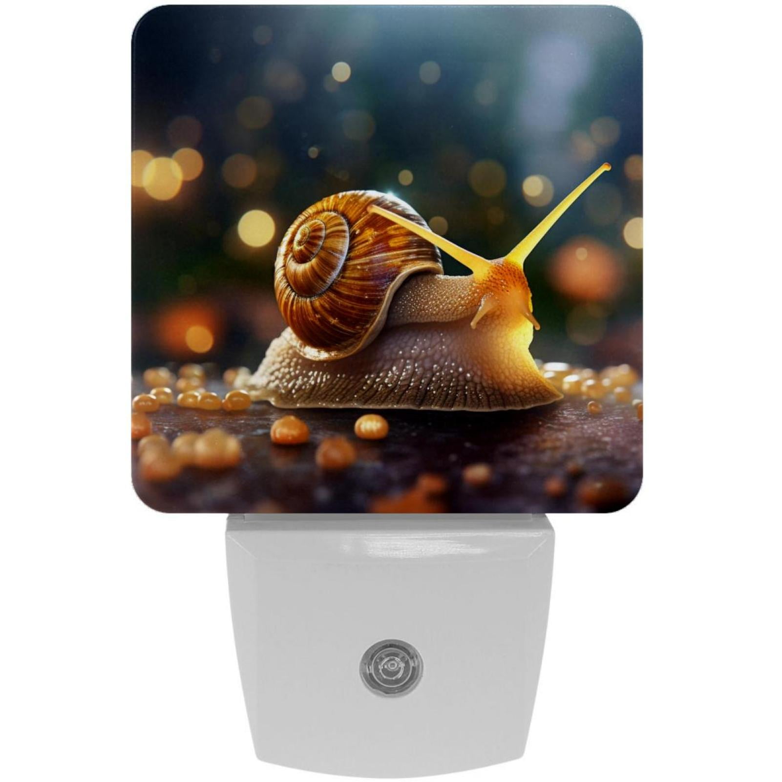 Snail LED Square Night Lights - Energy Efficient and Stylish Room Lighting Solution - Walmart.com