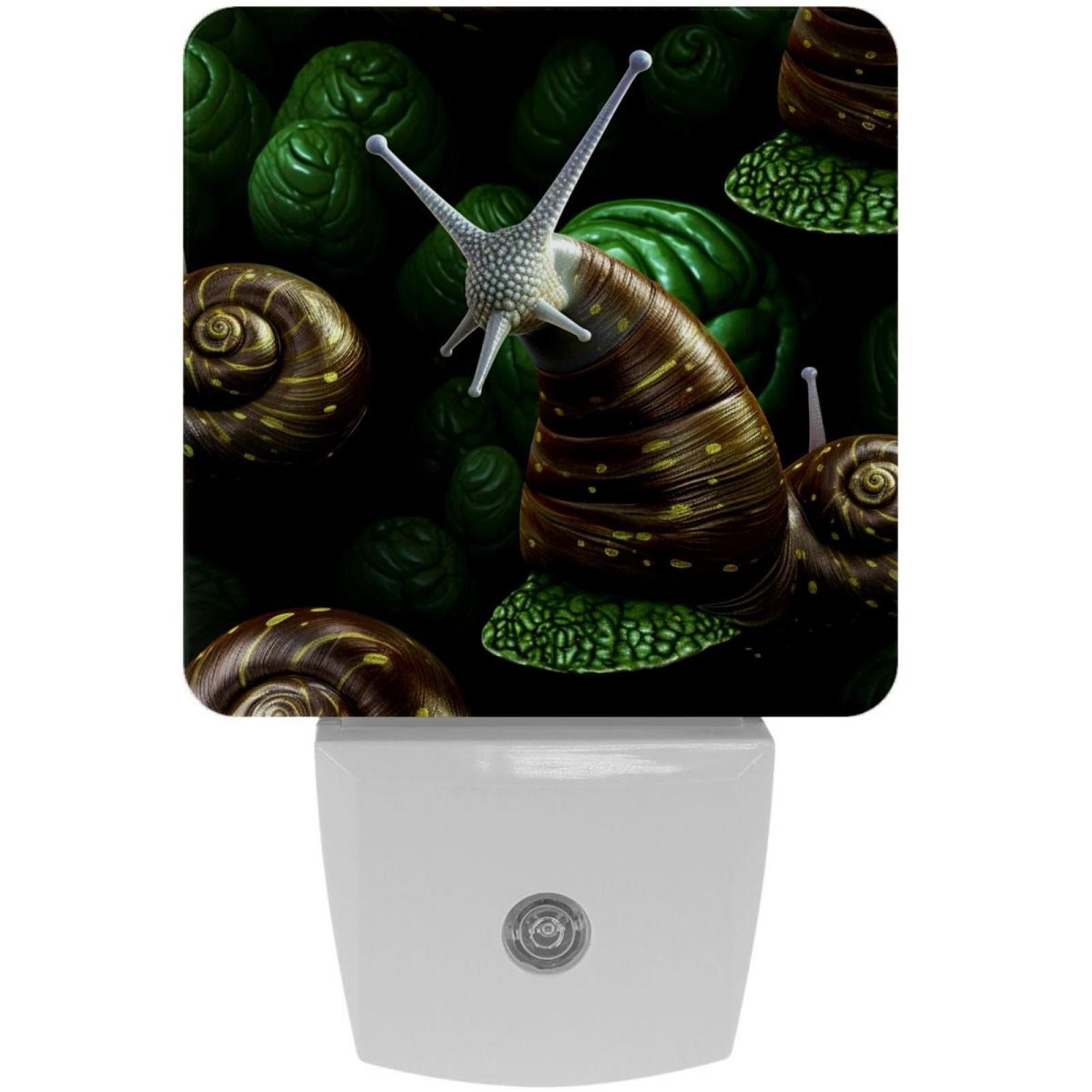Snail LED Square Night Lights - Illuminating Your Space with Style ...
