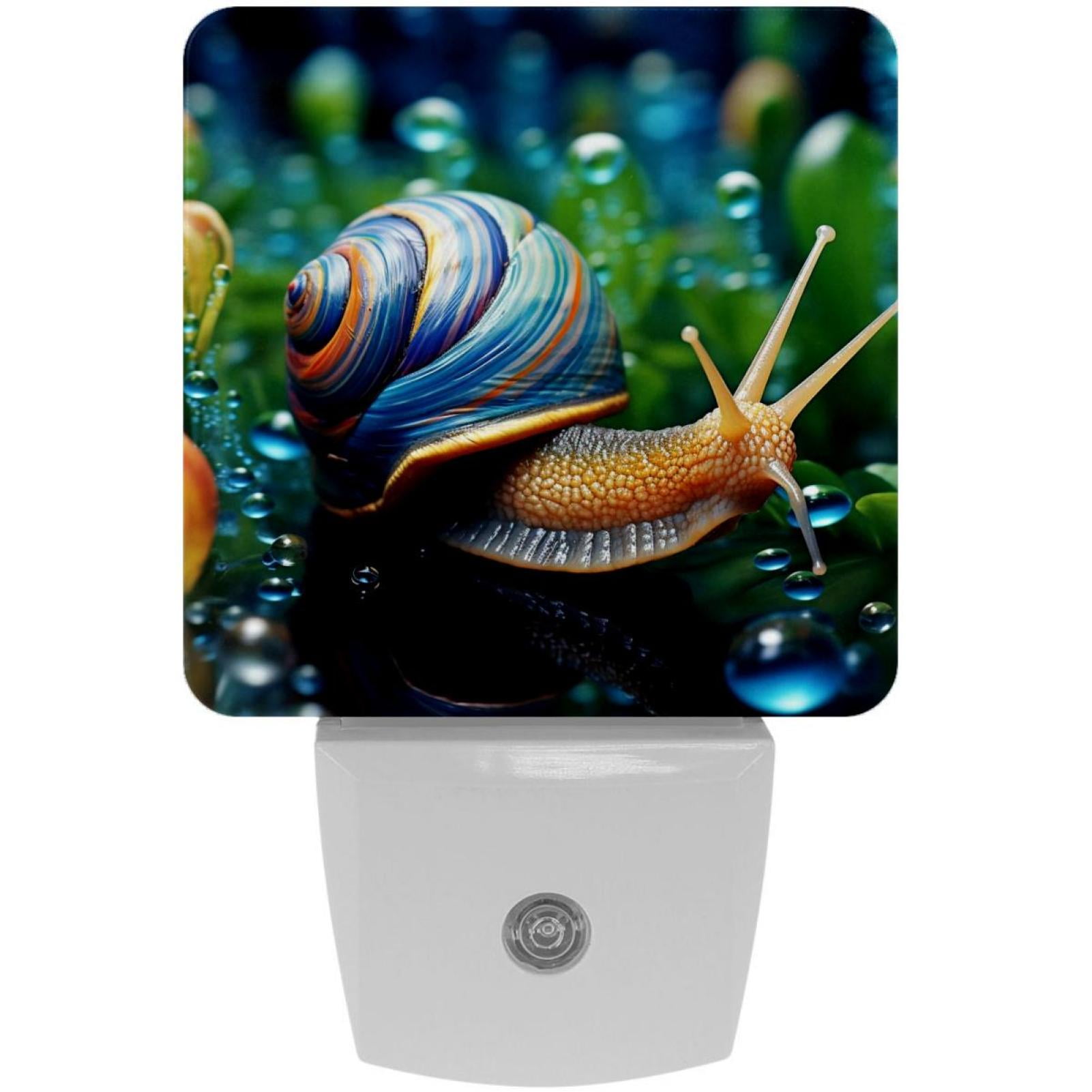 Snail LED Square Night Lights - Modern and Versatile Plug-in Lighting ...